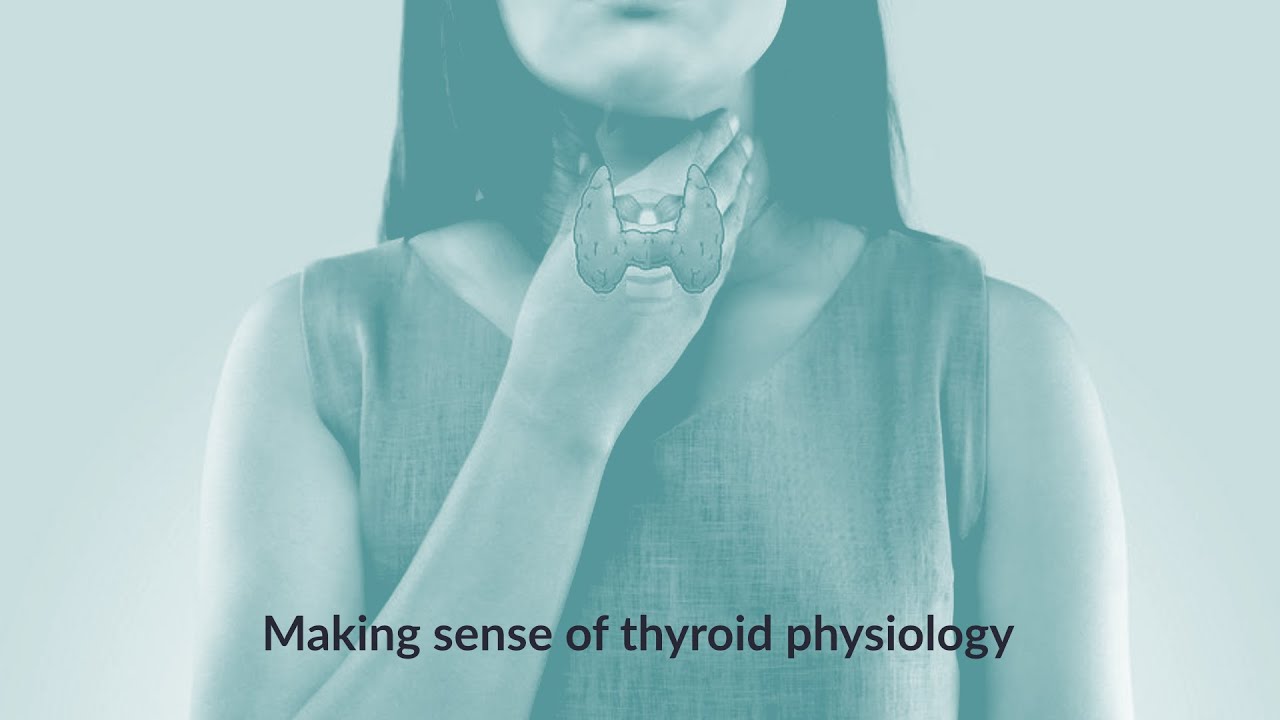 Making sense of thyroid physiology - YouTube