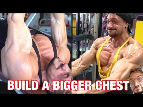 Build a BIGGER Chest with Joesthetics / (Full Workout)