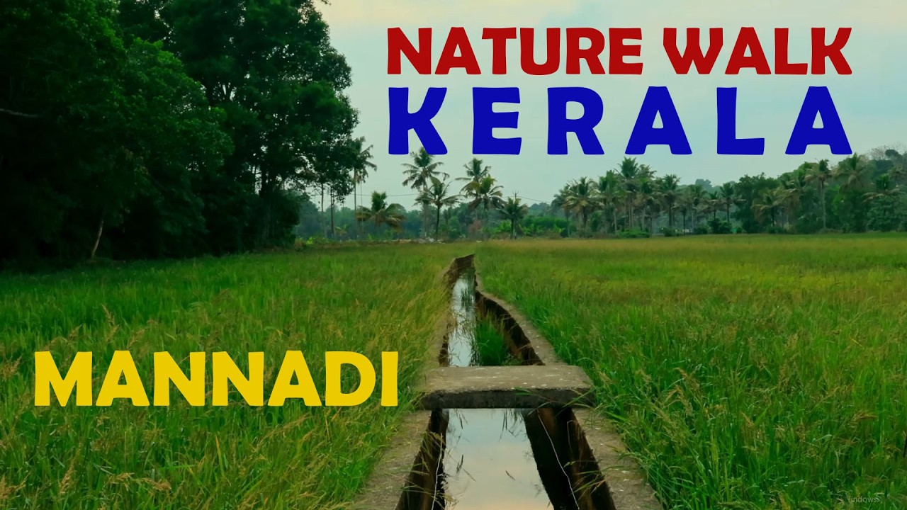 MANNADI | Kerala Paddy Nature Walk - YouTube
