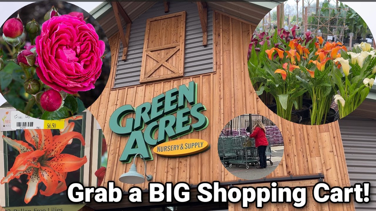 Big Fat Garden Center Shopping Trip - Green Acres! - YouTube