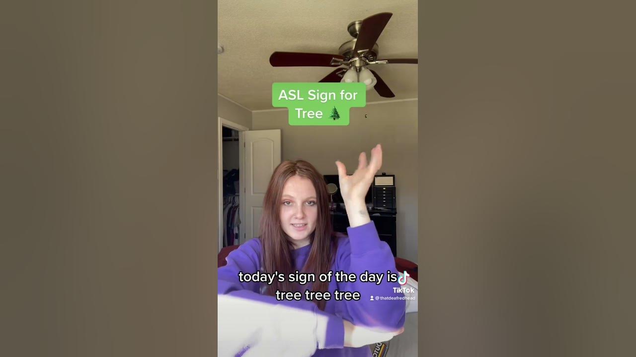 Learn How To Sign Tree in ASL for Beginners | American Sign Language # ...