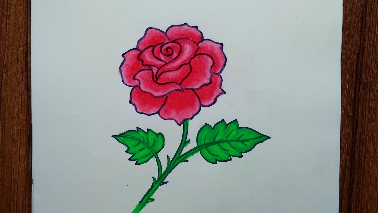 How to draw a rose easy step by step/ golap ful aka/সহজ গোলাপ ফুল অঙ্কন ...
