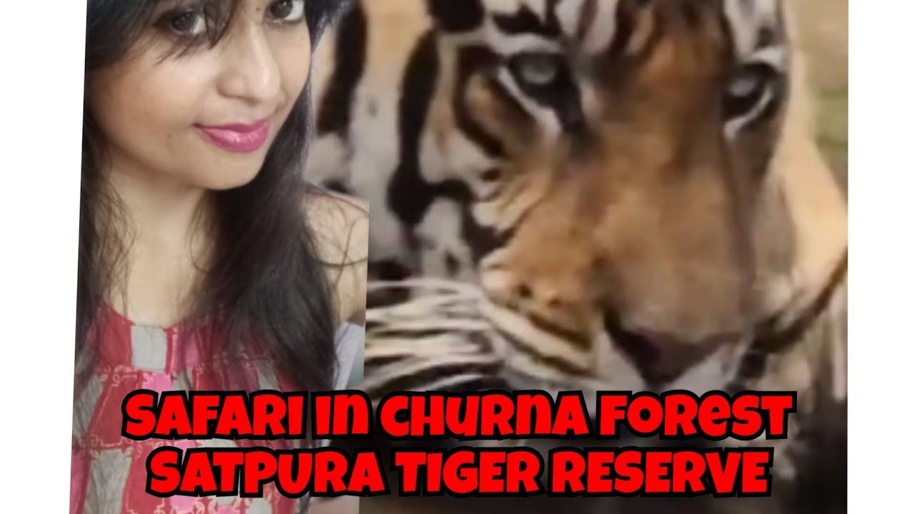 tiger safari in churna, Satpura jungle - YouTube