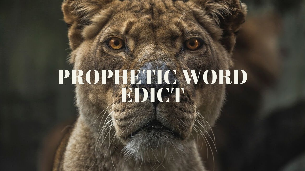 Prophetic Word: Edict - YouTube