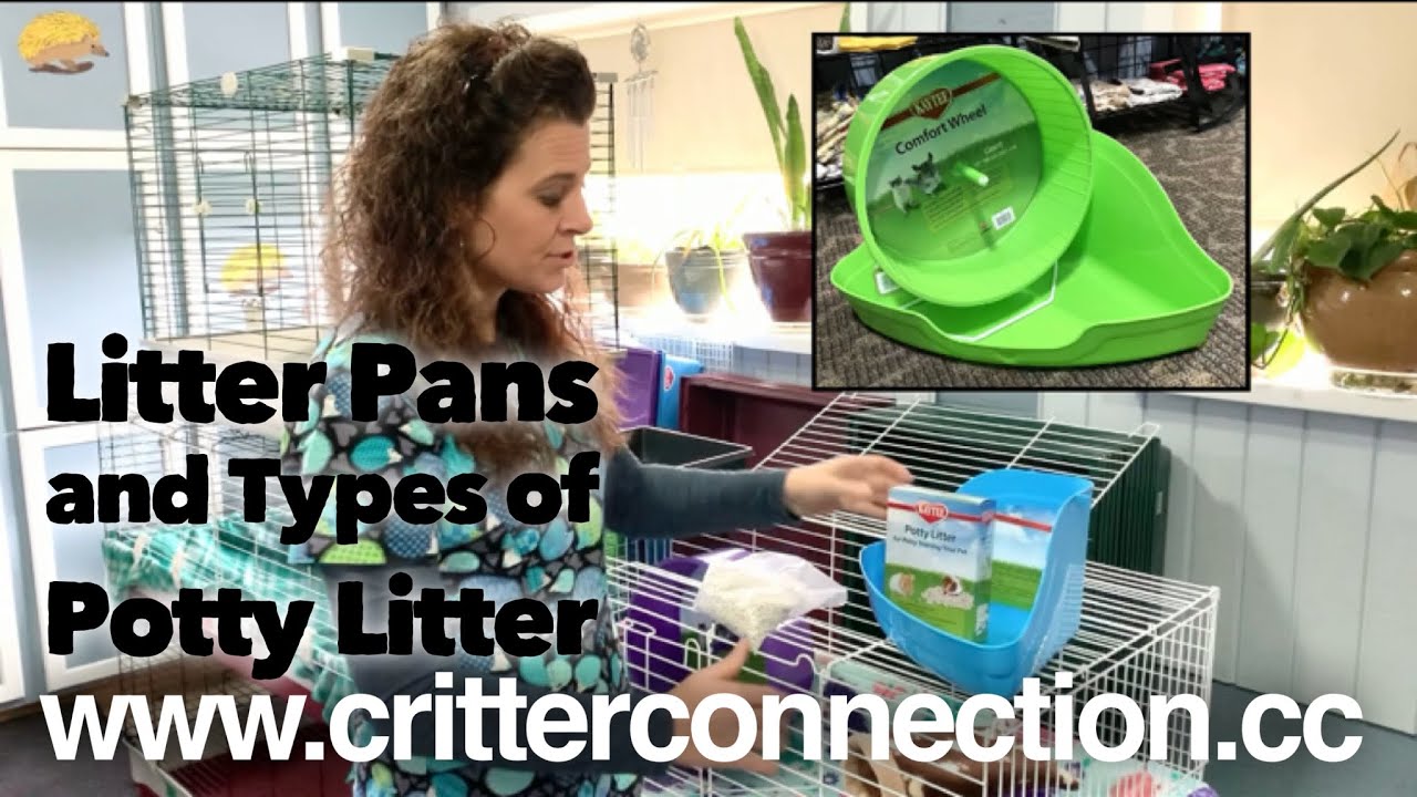 Litter pans and litter types - YouTube