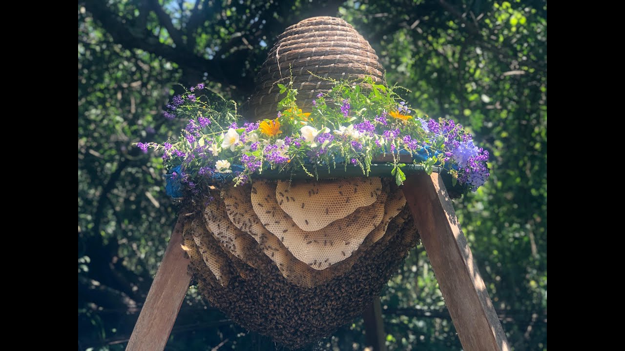 Secure the Sacred Honeybee Temple - YouTube