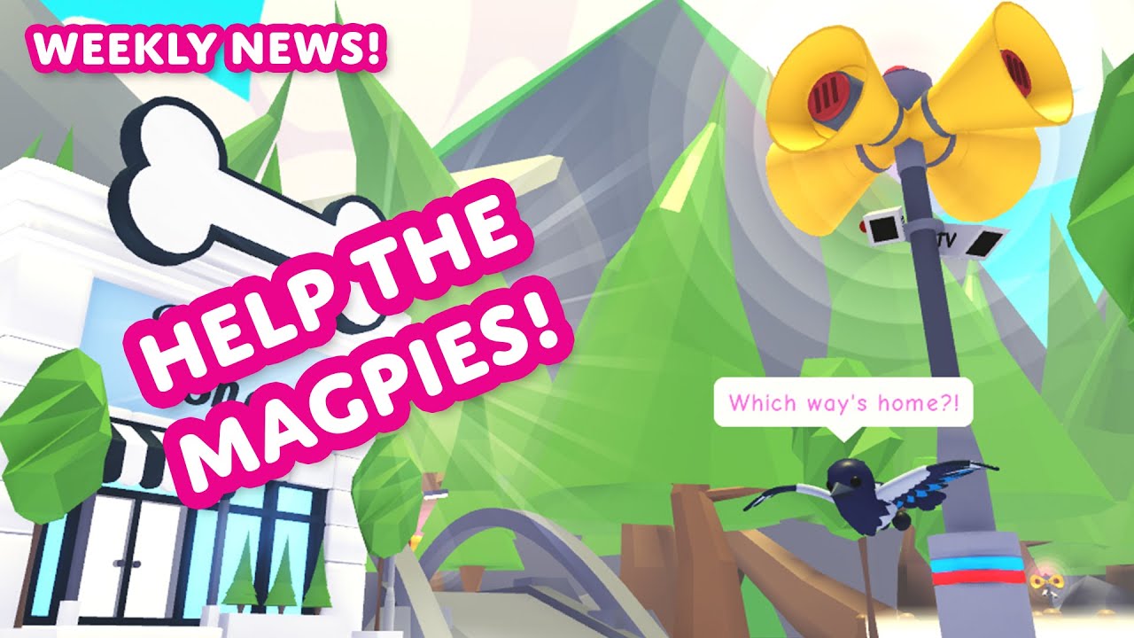 🐦‍⬛ Help the Magpies! 🚨 Weekly News! 🗞️ Adopt Me! on Roblox - YouTube