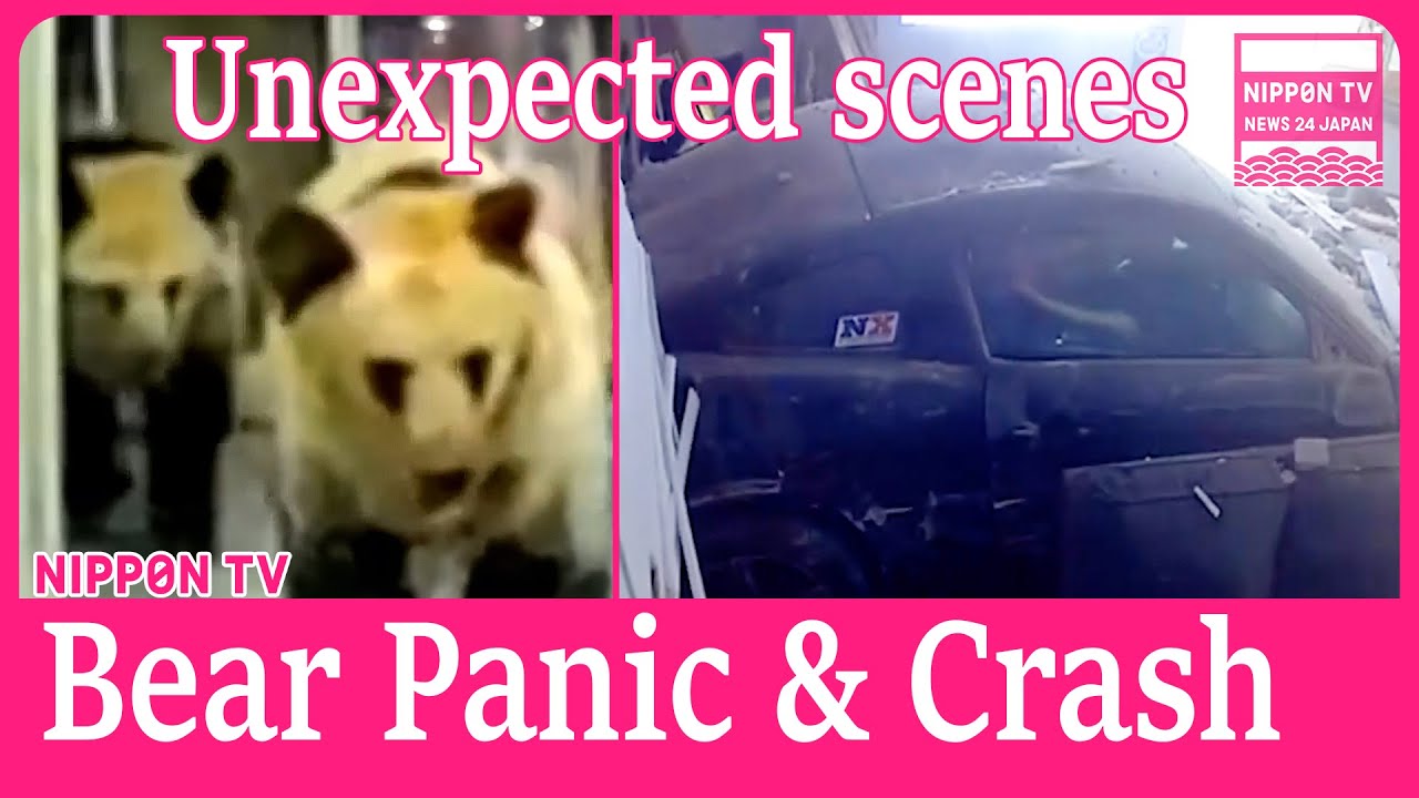Unexpected Scenes -NTV selection① Bear Panic & Car crash - YouTube