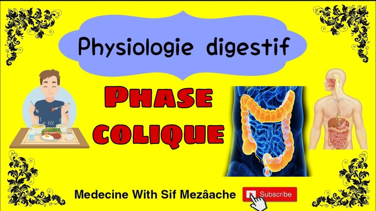 6/ Phase Colique | Physiologie 2éme Med - YouTube
