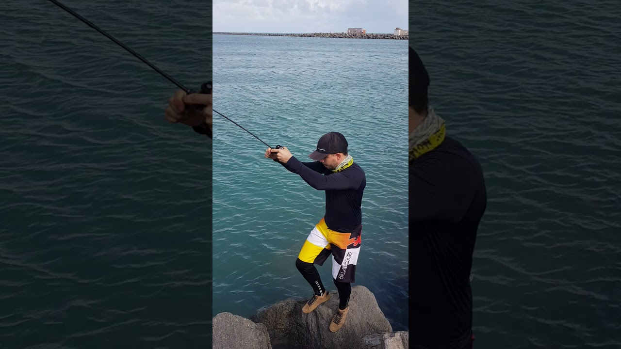 Robalo flecha gigante !!! - YouTube
