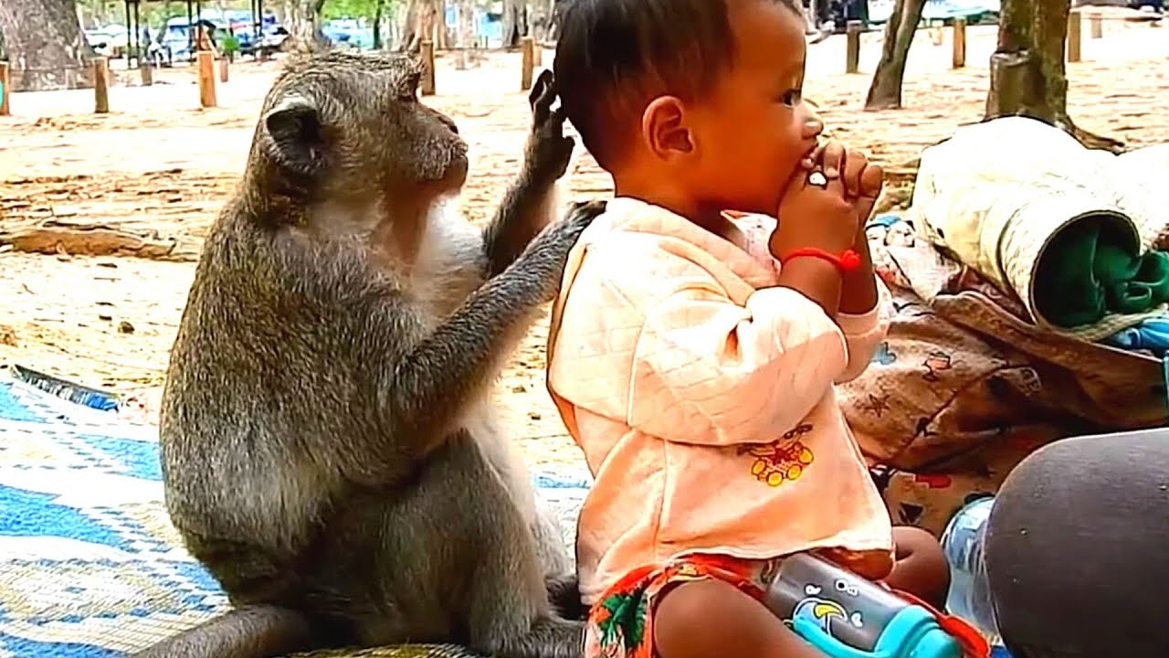 Monkey Sok plays with children - YouTube