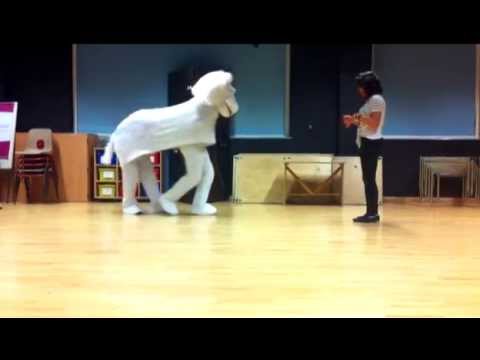The Pantomime Horse - YouTube