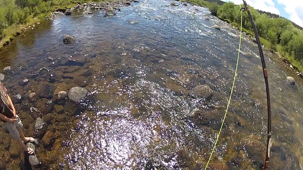 Fly Fishing Taylor River - YouTube