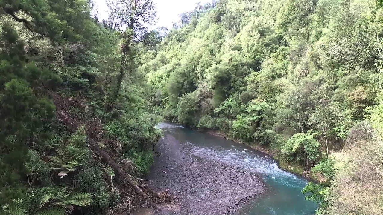 Pakihi Track, Mountain Biking, Opotiki, New Zealand - YouTube