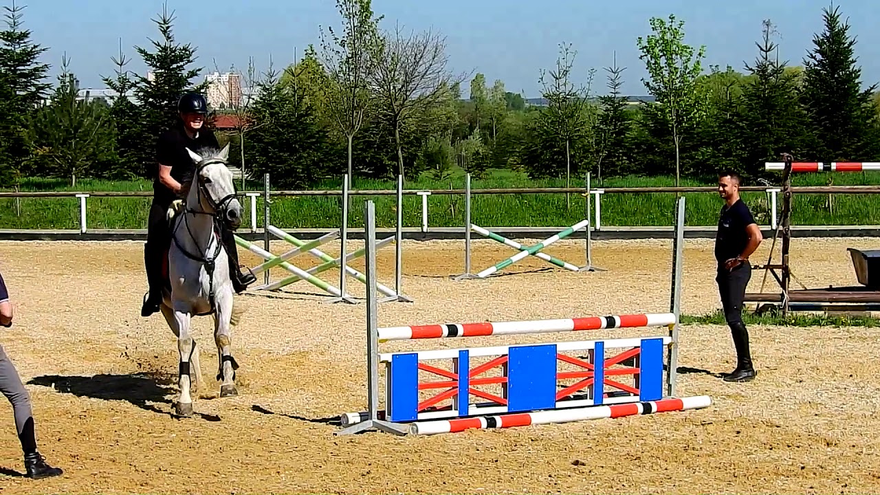 Horse - Show Jumping - Training 21.4.2018 - YouTube