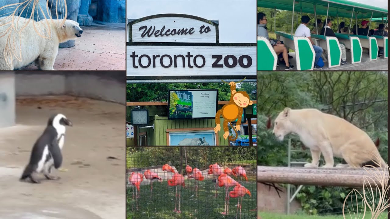 Canada’s biggest zoo / Walkthrough Tour of the Toronto Zoo / Massive ...