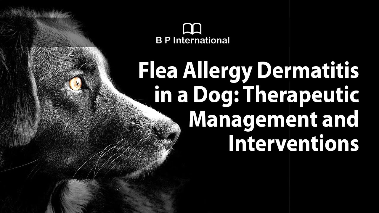 Flea Allergy Dermatitis in a Dog: Therapeutic Management and ...