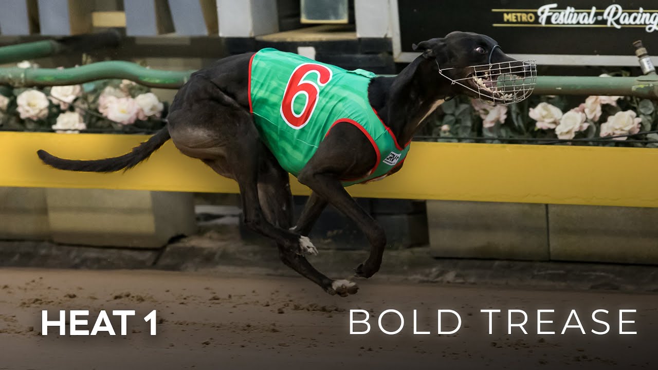 2021 Bold Trease Heat 1 | Untapped - YouTube