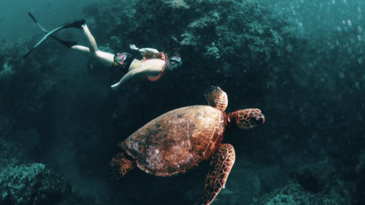 Expedition Mid Atlantic: Lisa Mondy - YouTube