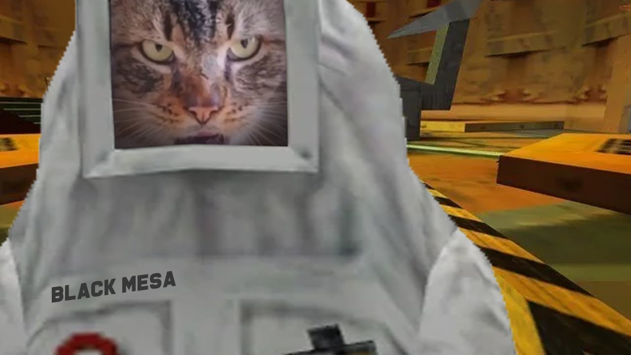 Half-Life Cat 7 - YouTube
