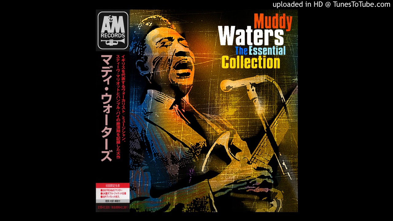 Muddy Waters Cant Get No Grindin Youtube