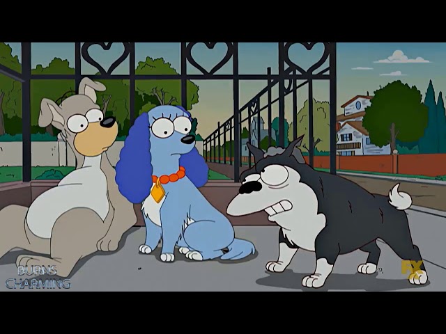 Simpsons Dog Videos