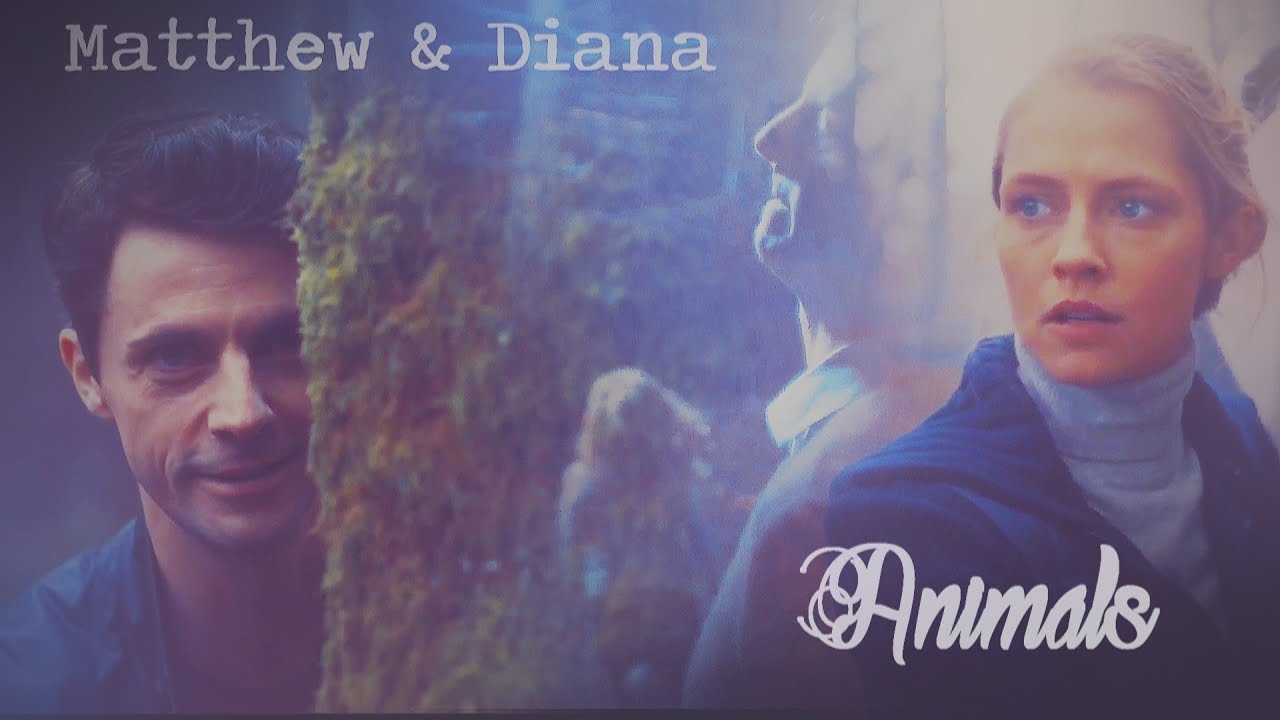 Matthew & Diana - Animals - YouTube
