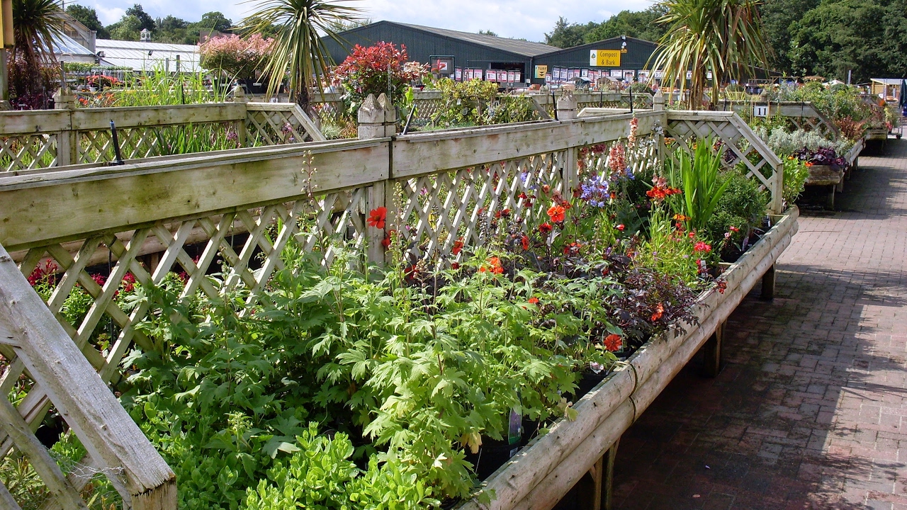 Longacres Garden Centre Opening Hours | Fasci Garden