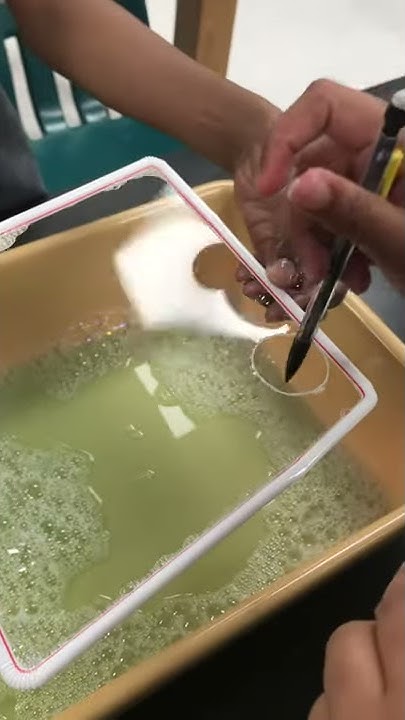 Cell Membrane Bubble Lab | Concept 4 - YouTube