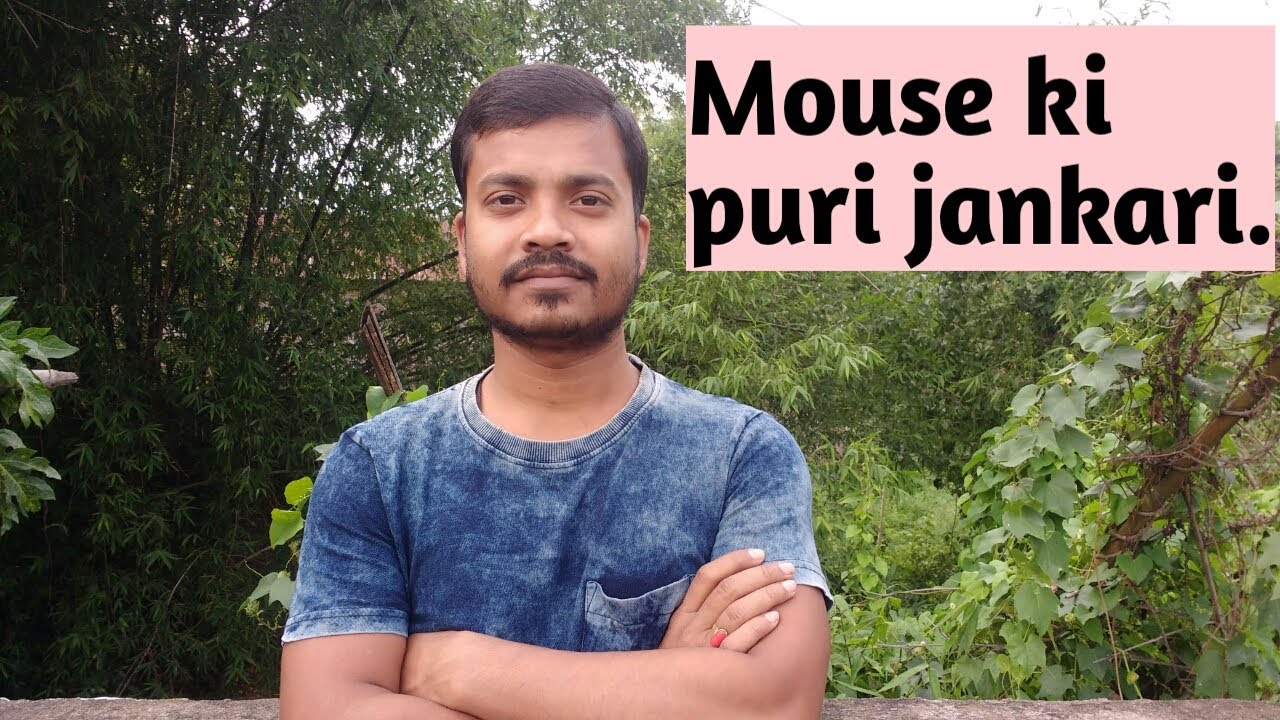 What is mouse in hindi? Mouse ki jankari. Do you know it about mouse ...