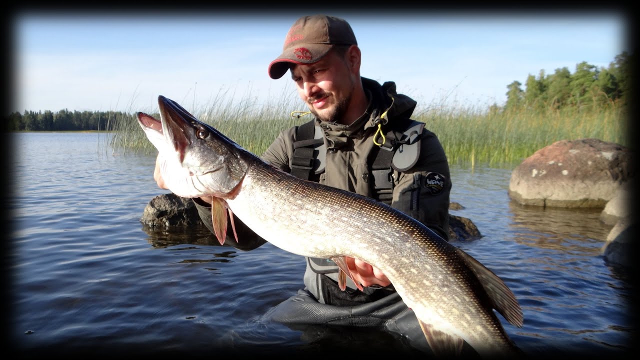 ЛОВЛЯ ЩУКИ В ФИНЛЯНДИИ ♦ HAUGIPÜÜK SOOMES ♦ PIKE FISHING IN FINLAND ...