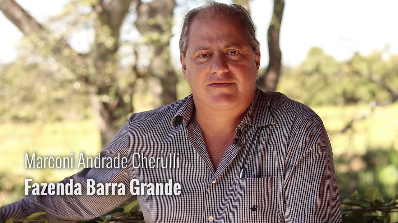 Bonsmara Barra Grande - Marconi Andrade Cherulli - YouTube