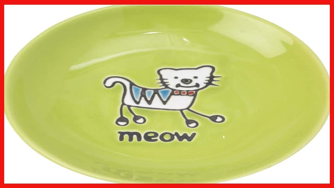 PetRageous Silly Kitty Cat Saucer and Bowl - YouTube