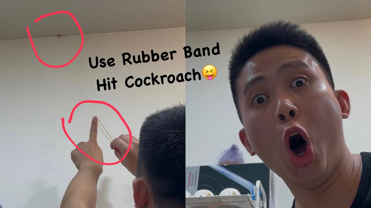 Use Rubber Band Hit Cockroach😝 2024.12.26 - YouTube