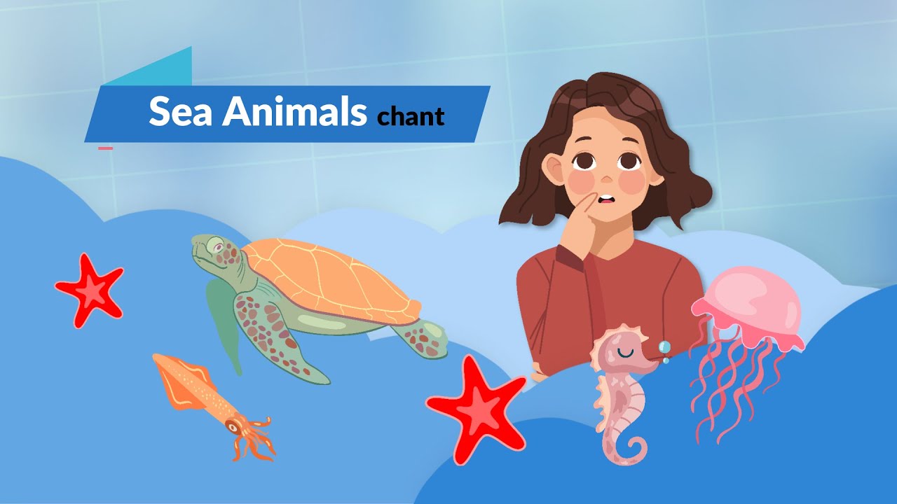 Sea Animals chant - WE CAN3 - term 1 -Unit2 - YouTube