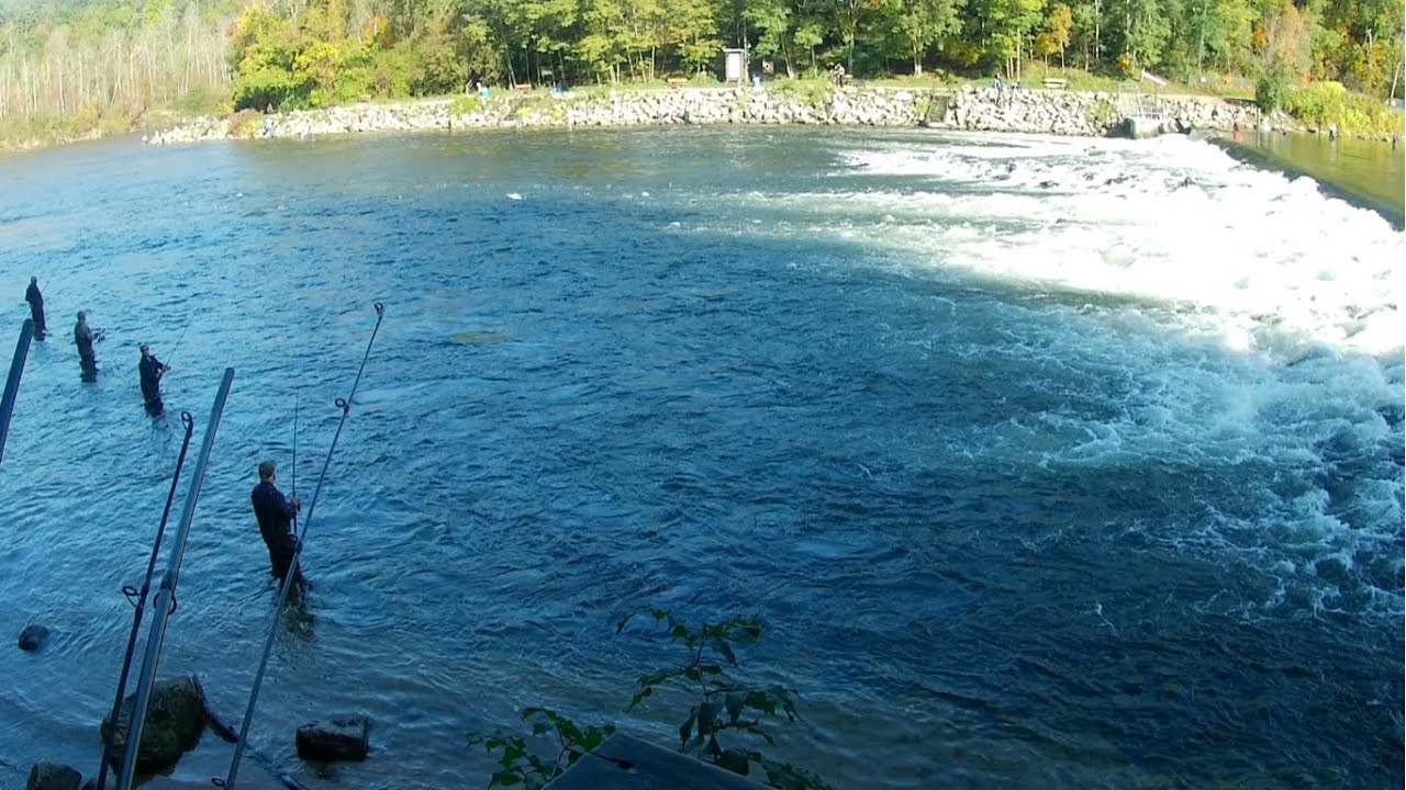 TIPPY DAM OCTOBER 2021 - YouTube