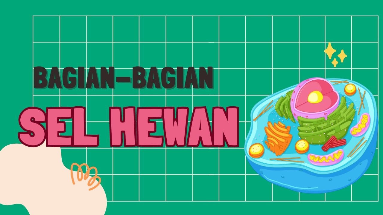 Bagian-Bagian Sel Hewan dan Penjelasan Lengkapnya #sel #selhewan # ...