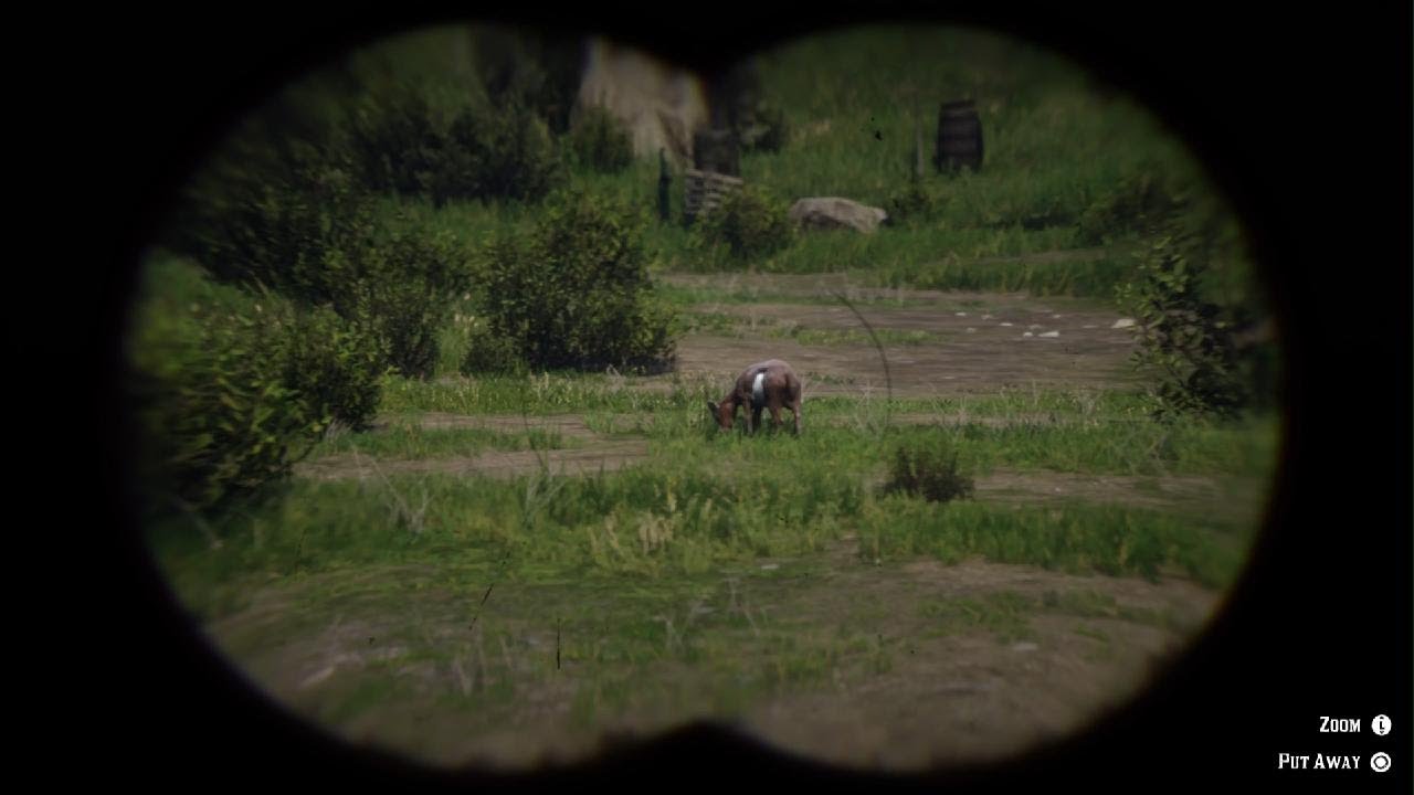 Red Dead Redemption 2 Chapter 3 Part 77 Perfect Goat Hide - YouTube