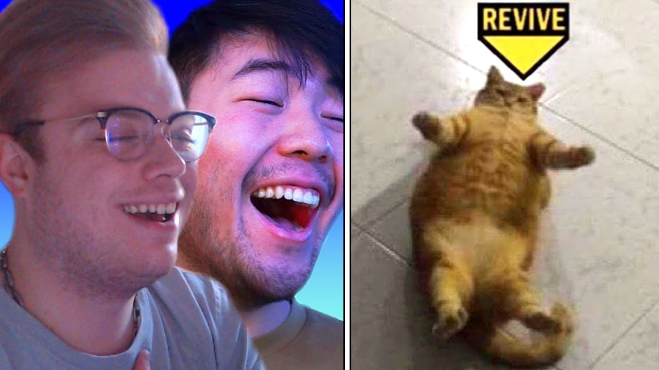 SIMPLE AND TUXY REACT TO FUNNY UNUSUAL MEMES - YouTube
