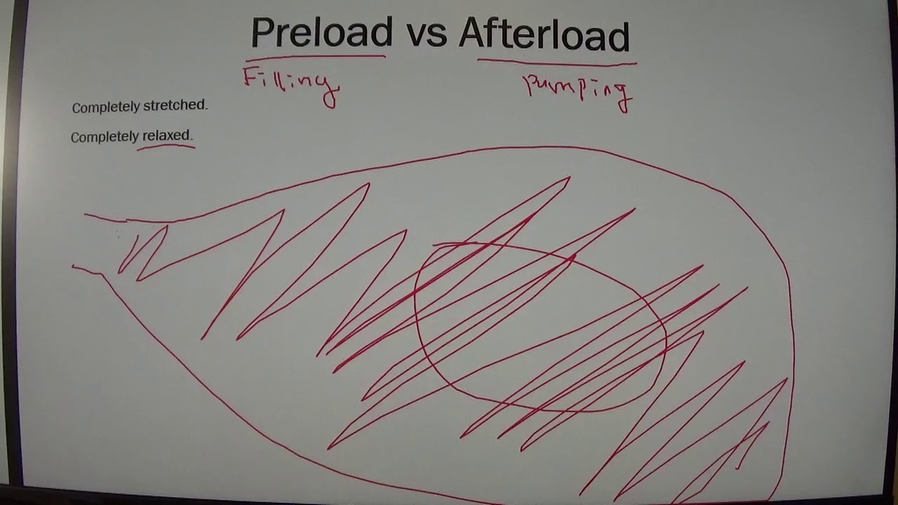 전부하, 후부하 (preload and afterload) for NCLEX - YouTube