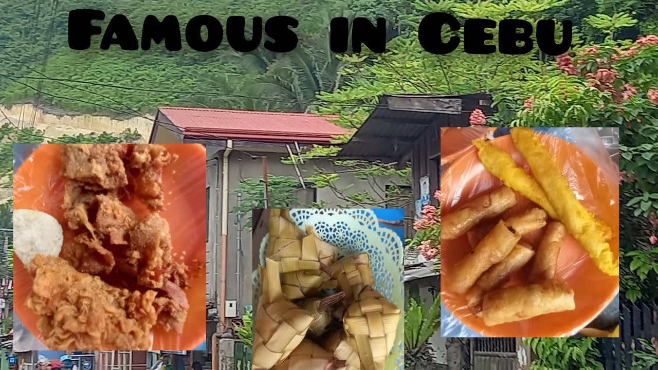 Famous streetfood in Cebu/ginabot/chicharon bulaklak/lumpia/longganisa ...