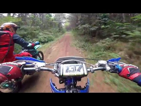 #kingger kr250 & sherco 250 motor mechido - YouTube