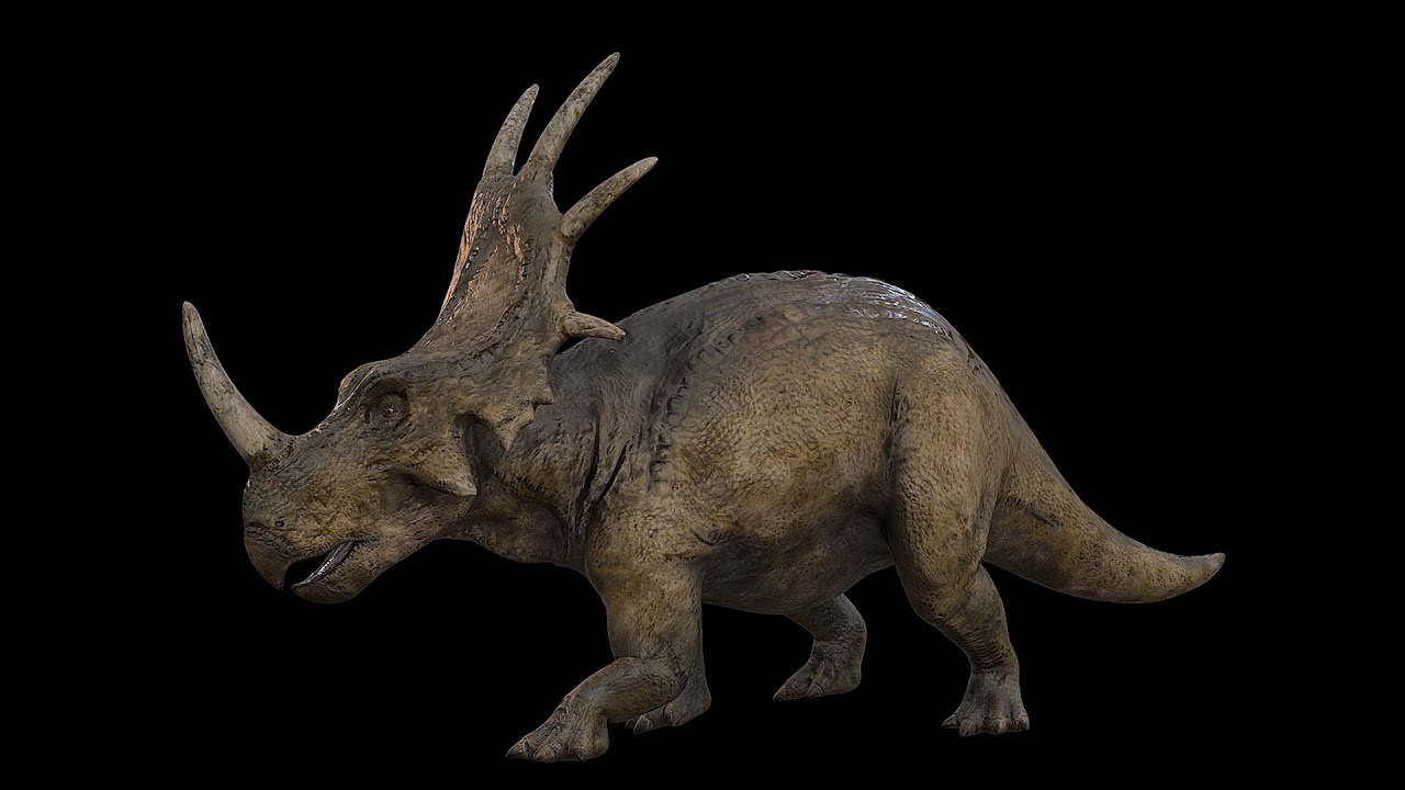 Styracosaurus | Styraco Dinosaur | Ngchipv(ShortVer) - YouTube