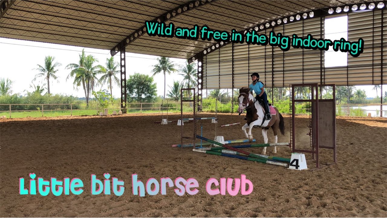 Blinky’s Horse Riding Lesson: Little Bit Horse Club เรียนขี่ม้าครูจีน ...