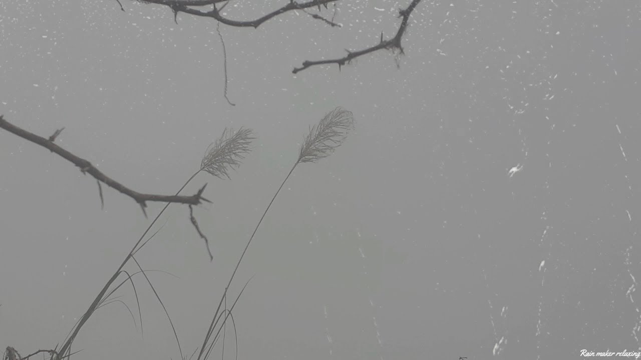 Go To Sleep With Rain Sounds Relaxing Sounds For Insomnia Symptoms go-to-sleep-with-rain-sounds-relaxing-sounds-for-insomnia-symptoms