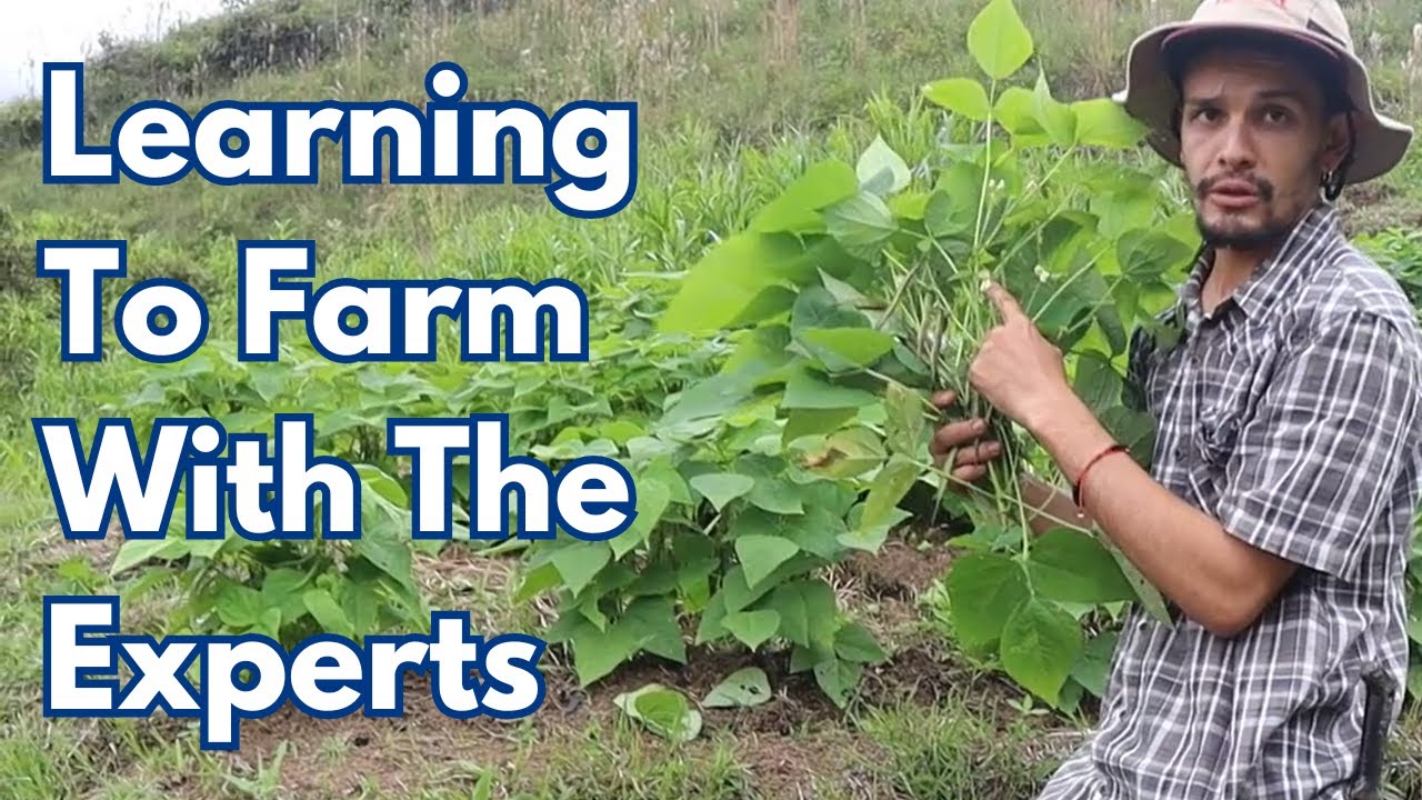 #17 - Learning to Farm with the Experts! - YouTube
