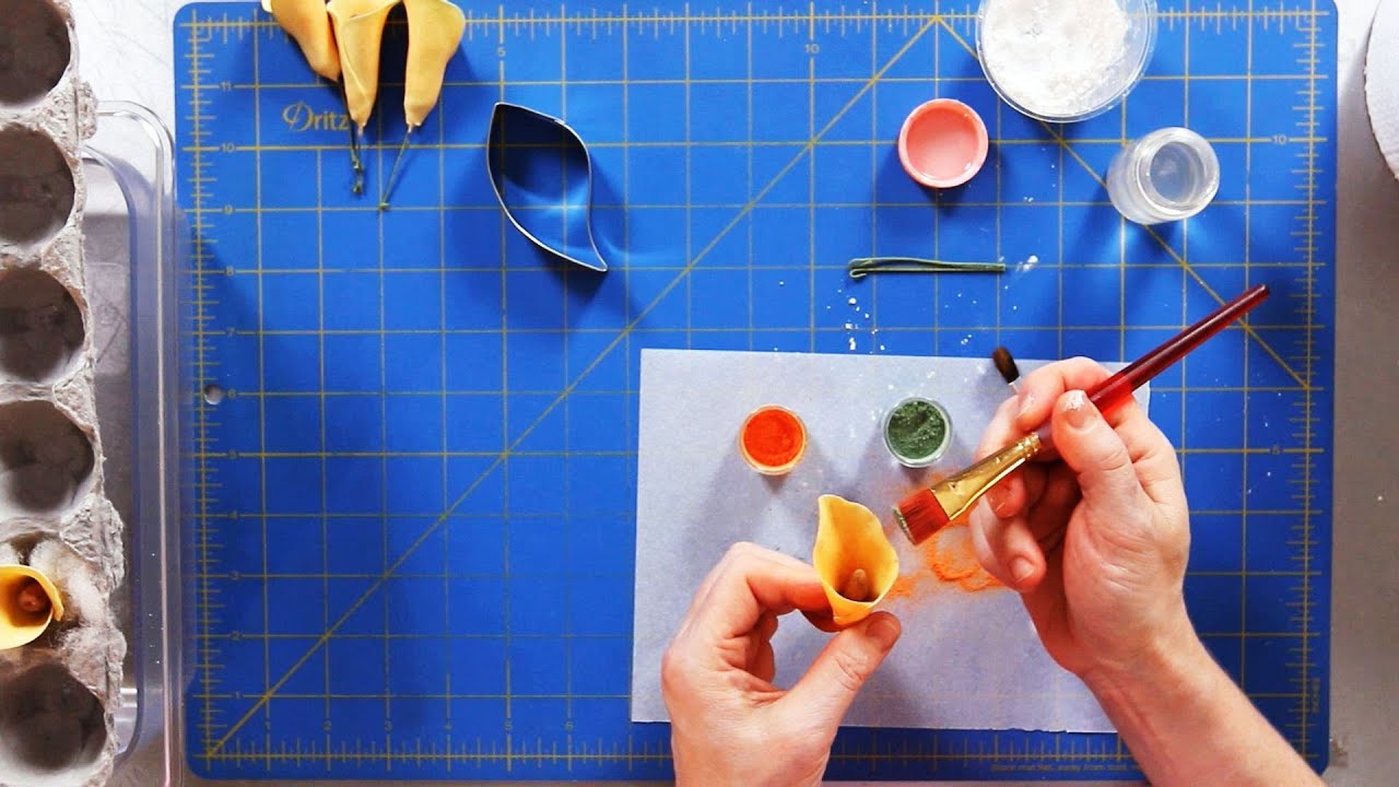 How To Paint Calla Lilies Sugar Flowers YouTube how-to-paint-calla-lilies-sugar-flowers-youtube
