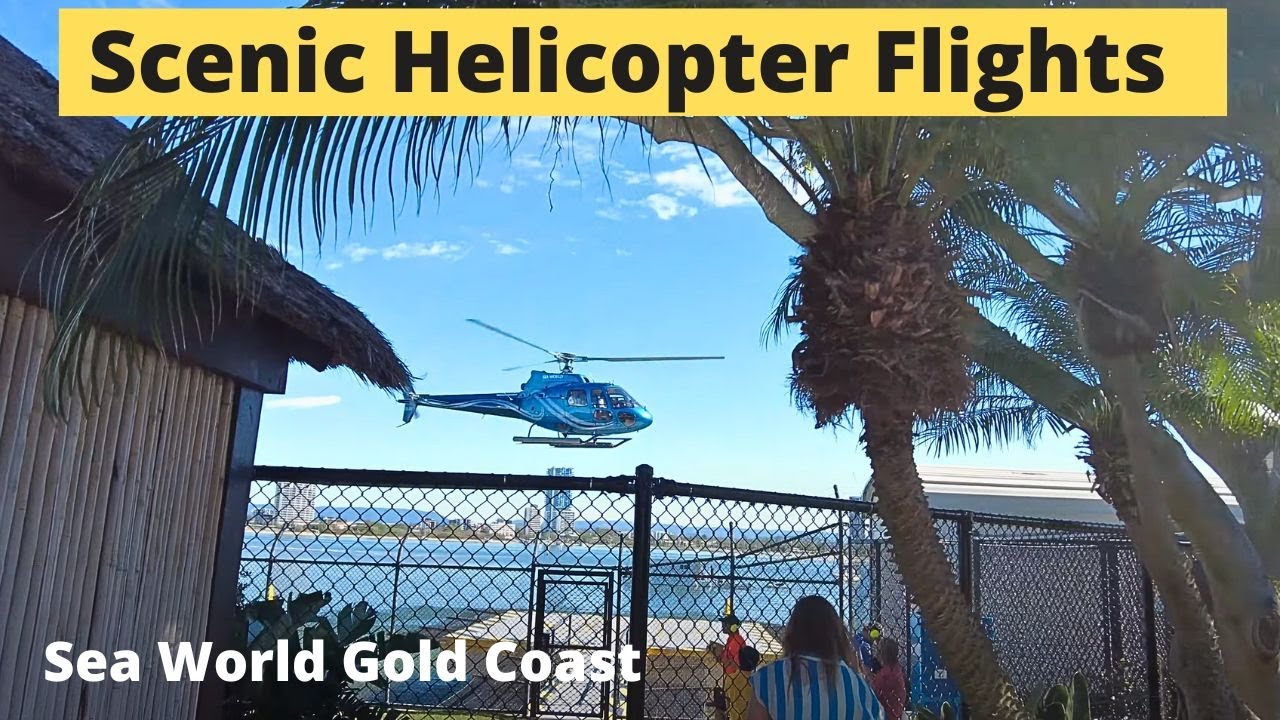Scenic Helicopter Rides at Sea World - Gold Coast Australia 🇦🇺 - YouTube