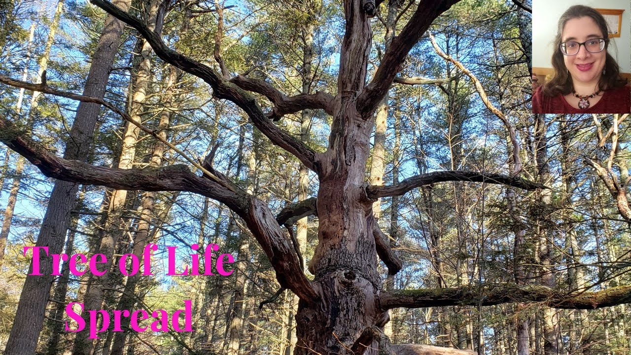 Three of Life Spread - YouTube