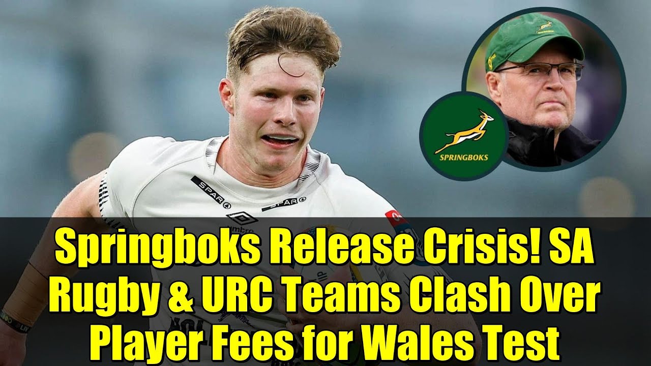 Springboks Release Crisis! SA Rugby & URC Teams Clash Over Player Fees ...